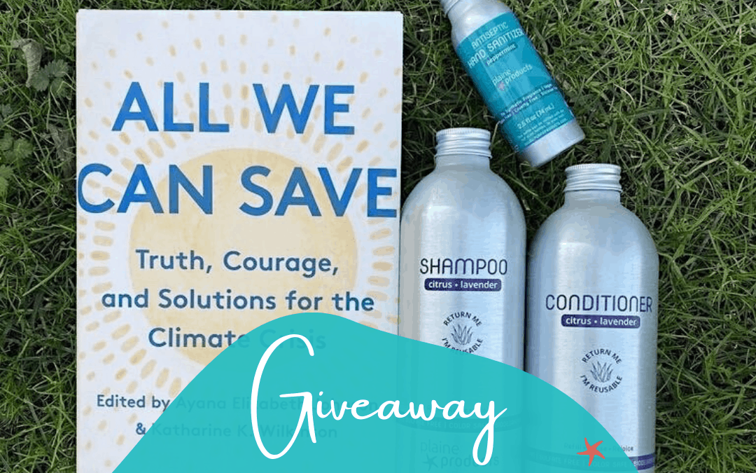 Book Giveaway: All We Can Save – Plaine Products