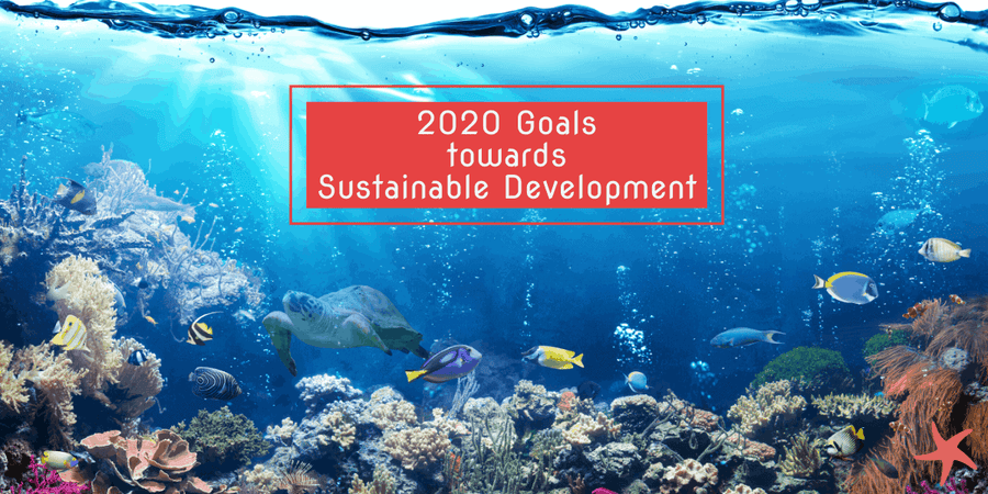 2020 Goals towards Sustainable Development – Plaine Products