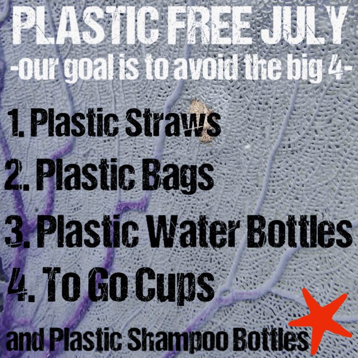 5 Tips to Help Create a Plastic-Free July – Plaine Products
